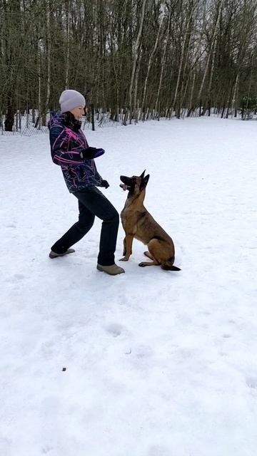Малинуа Вега - флиповый барьер