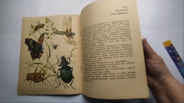 детская книга Ю. Дмитриев МАЛЕНЬКИЕ СКАЗКИ ПРО МУШОНКА И ДРУГИХ ЛЕСНЫХ МАЛЫШЕЙ