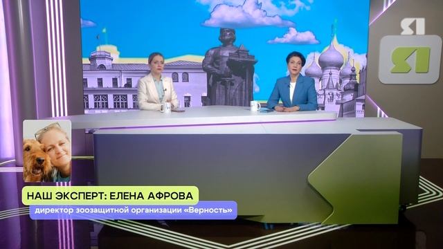 Яутро . Программа от 10.12.2025