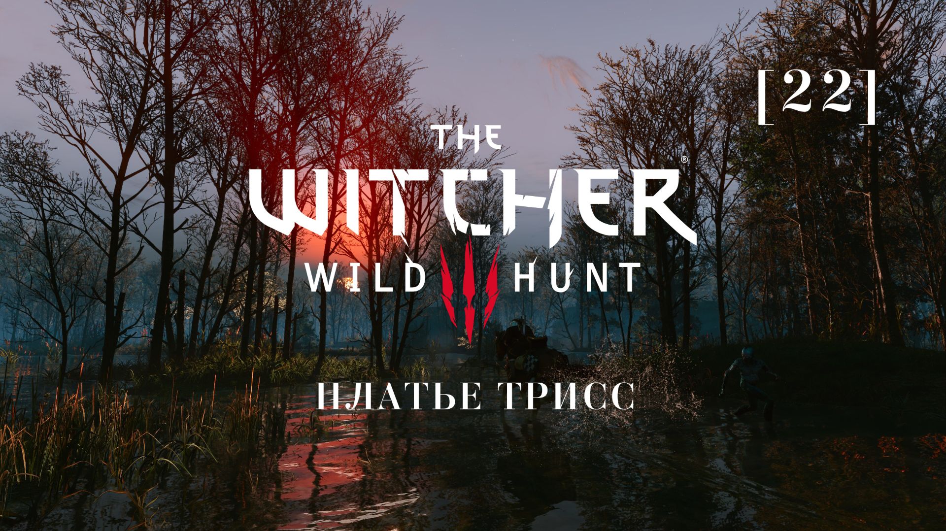 Ведьмак 3: Дикая охота | 22 | Платье Трисс