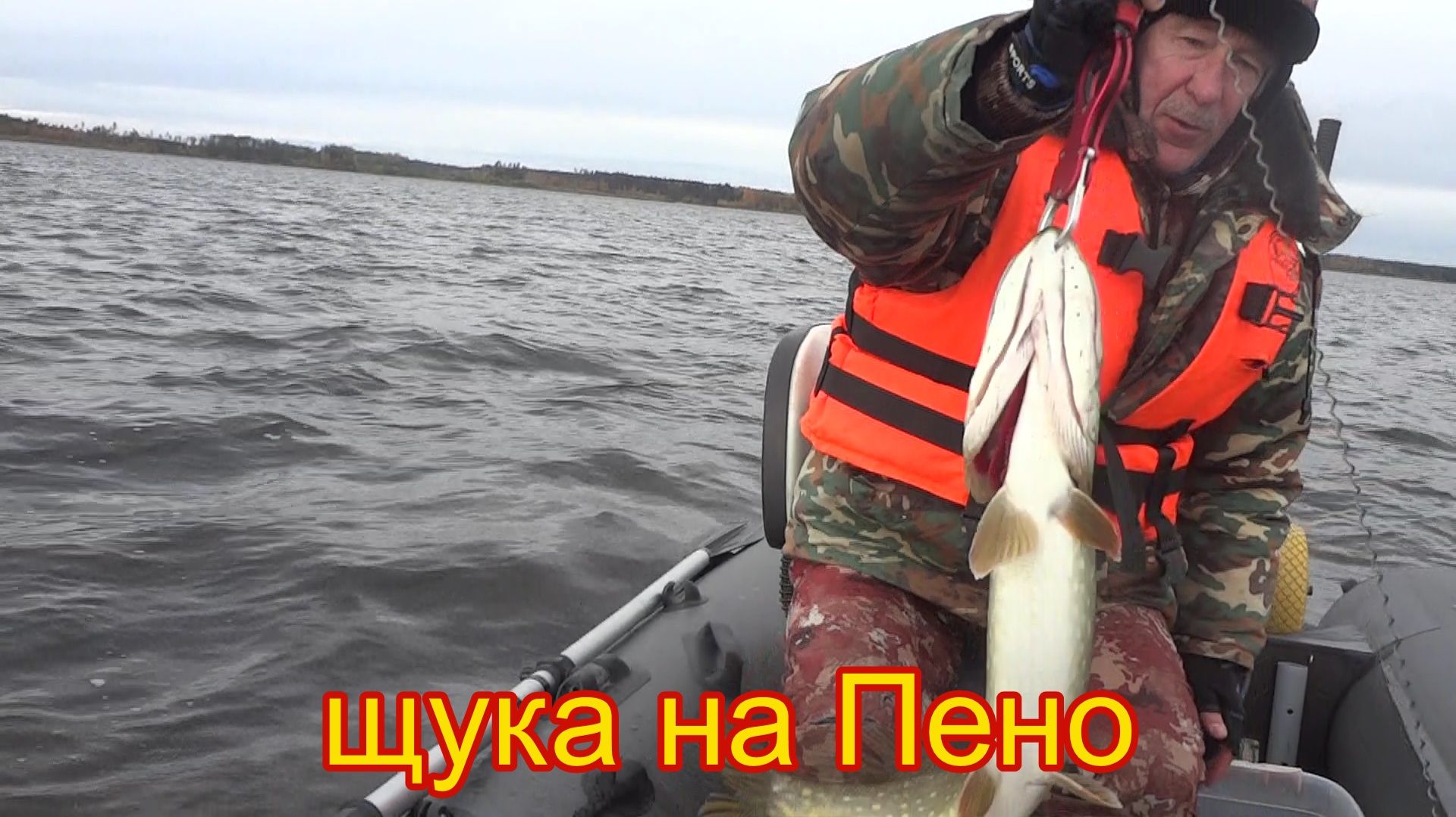Щука на озере Пено в октябре .