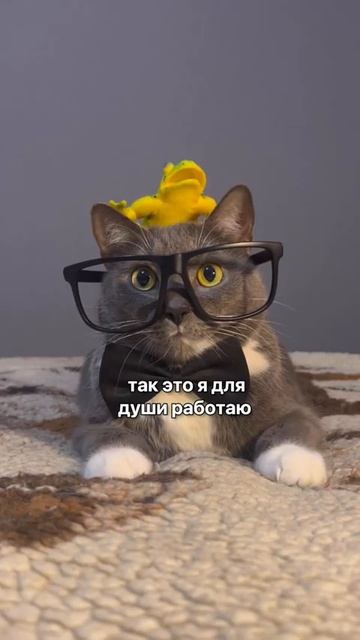 КУСЕВ ПЕРЕЖИВАЕТ