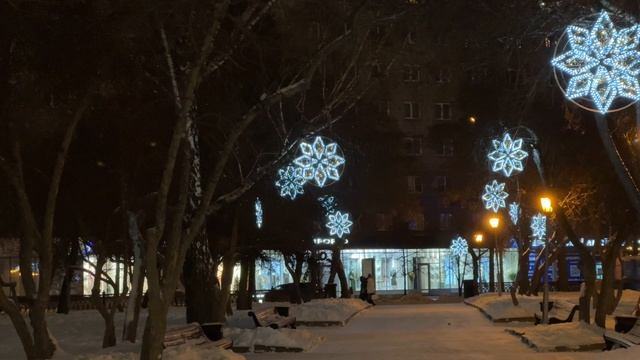 Световые элементы в парке | Снежинки на деревьях и холодный дюралайт