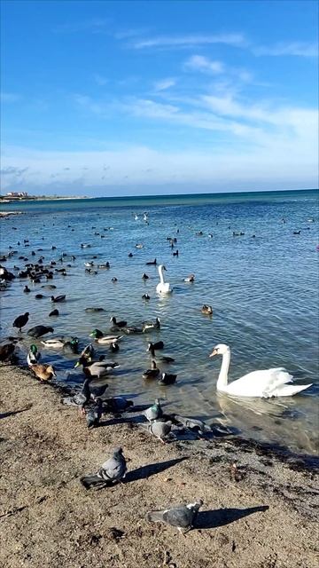 Пусть сегодня пахнет счастьем и любовью ...
У каждого дня свой аромат.