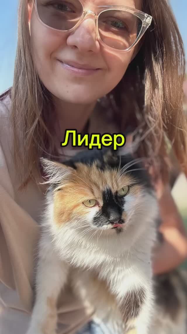 Ребенок будет лидером? Подкаст психолога с нутрициологом