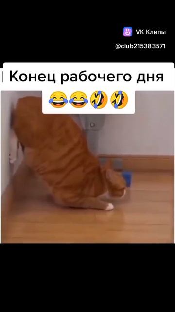 Погнали домой 🏡🏢🛖🗺