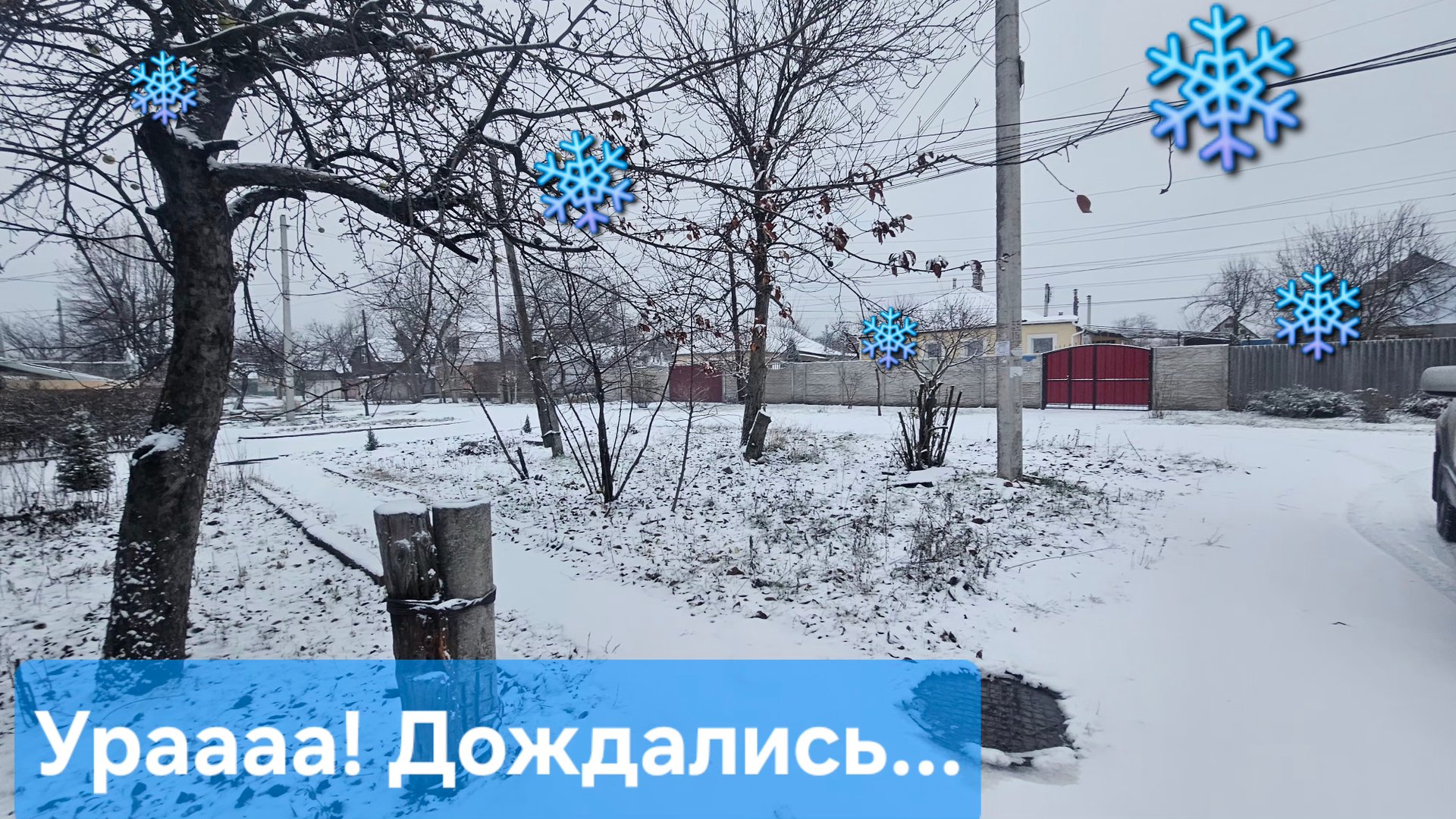 Выпал первый снег❄️ Нарядили ЁЛКУ 🎄09.12.2025