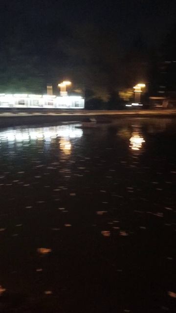 Прогулка в "Лианозовском" парке.