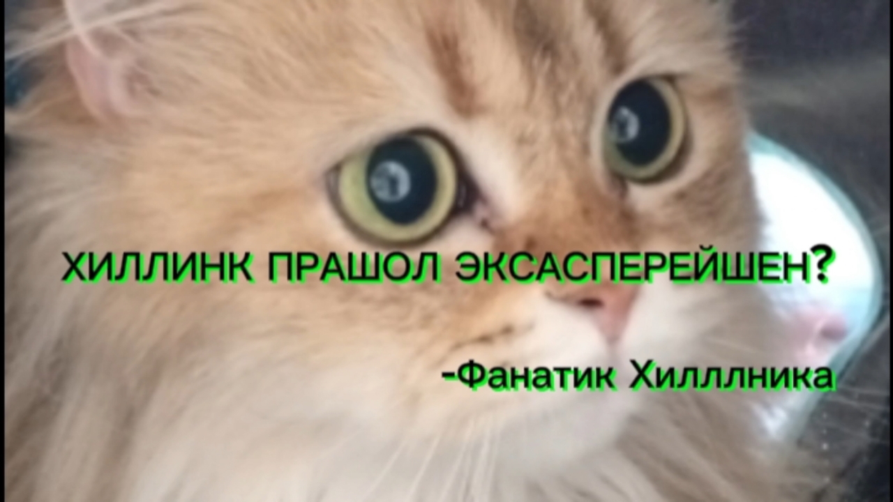 Exasperation end 68%