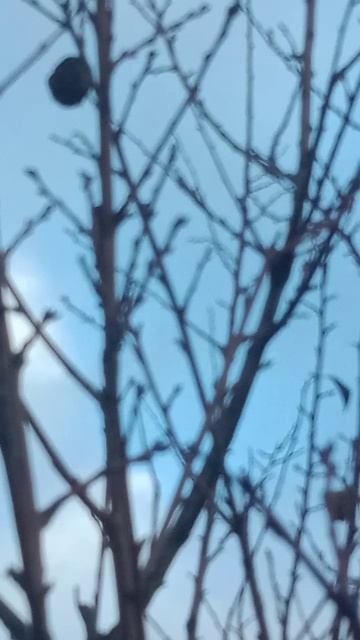 11 декабря 2025 года. Беларусь