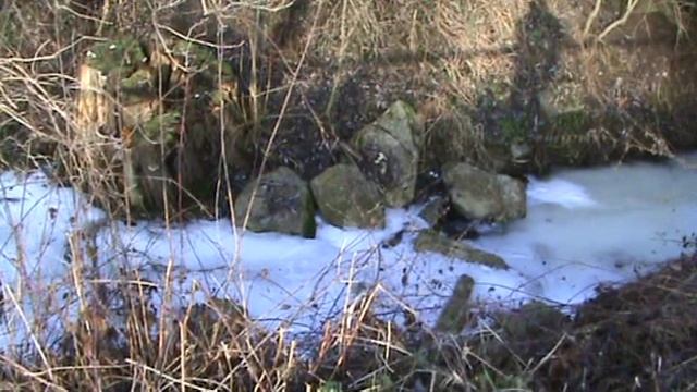 2008-09 Зима в Германии