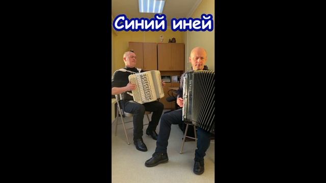 "Синий иней". "One Way Ticket". Accordion. Фольклор. Гармонист. Гармонисты. Баянист. Аккордеонист.