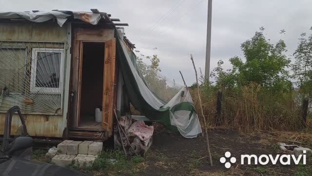 Короткий обзор первого урожая с нашей земли!