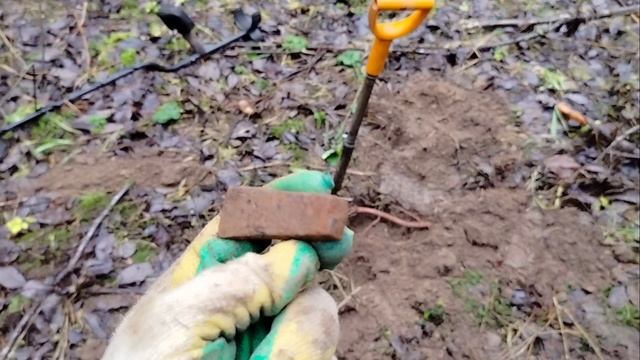 металлокоп в лесу 👍🌲