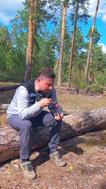 Один день лета | Яркие моменты велосипедного приключения #штс 2025 #wanderer #велосипед #bikepacking