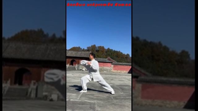 Ли Баолай с горы Удан. Укрепите своё тело и разум. Проявляйте позитивную энергию.