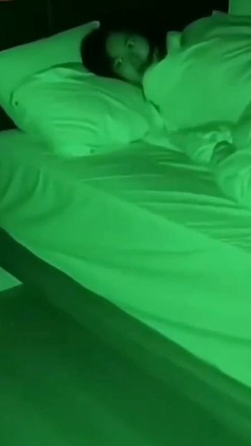 Кот не даёт спать