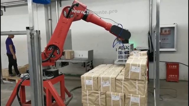 71. Паллетируем коробки с конвейера роботом BORUNTE