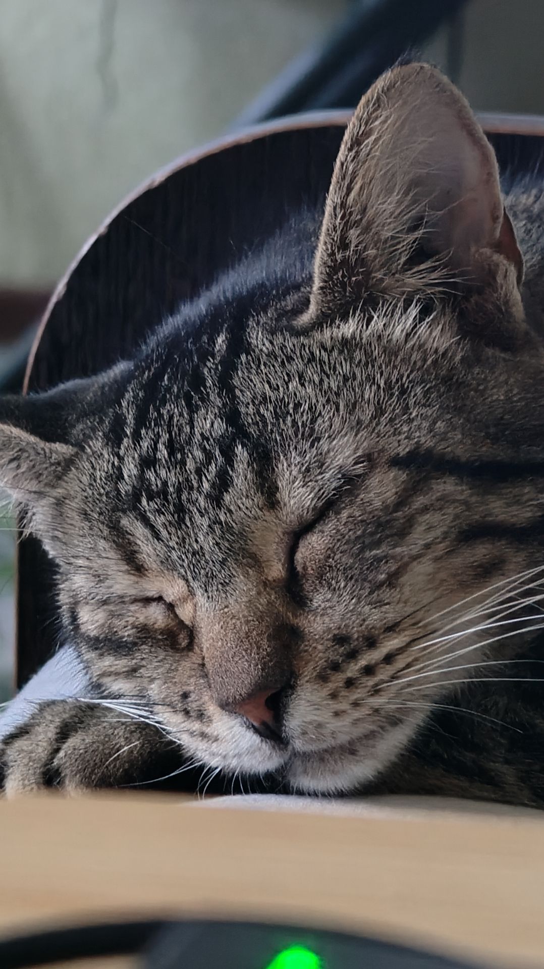 Молочный шоколад