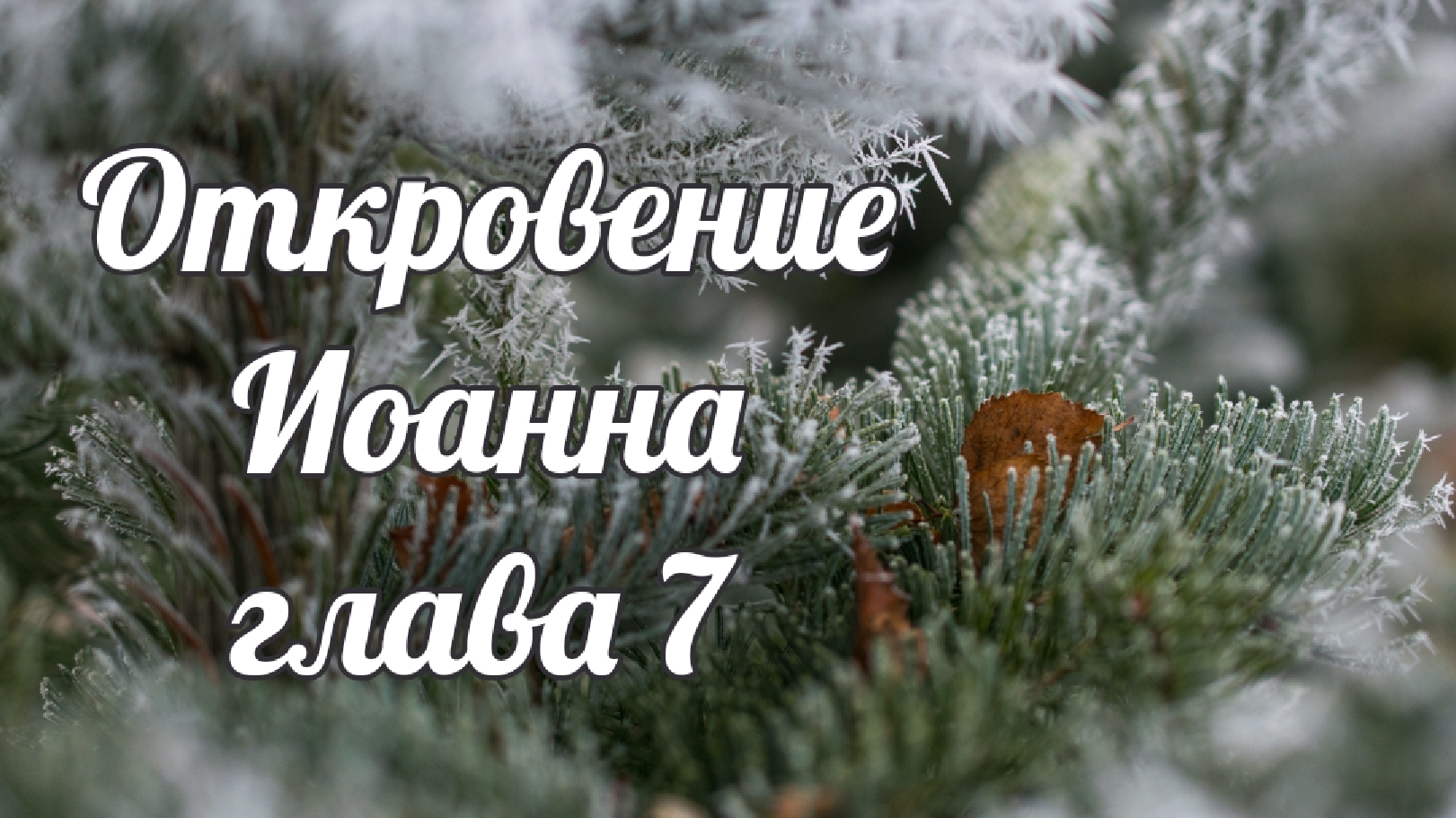 Откровение Иоанна глава 7