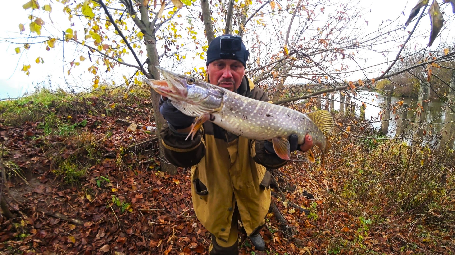 ВОТ ЭТО Я ПОПАЛ НА ЖОР ХИЩНИКА. ЧТО НИ РЫБА - ТО КАБАН. МОЛЧА ПОРЮ РЫБУ НА РЕКЕ КЛЯЗЬМА.