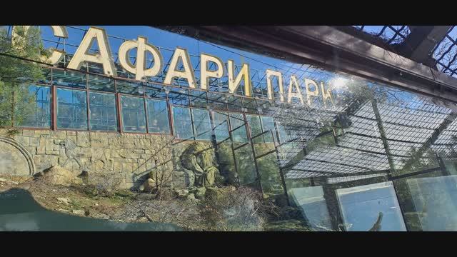 сафари парк геленджик