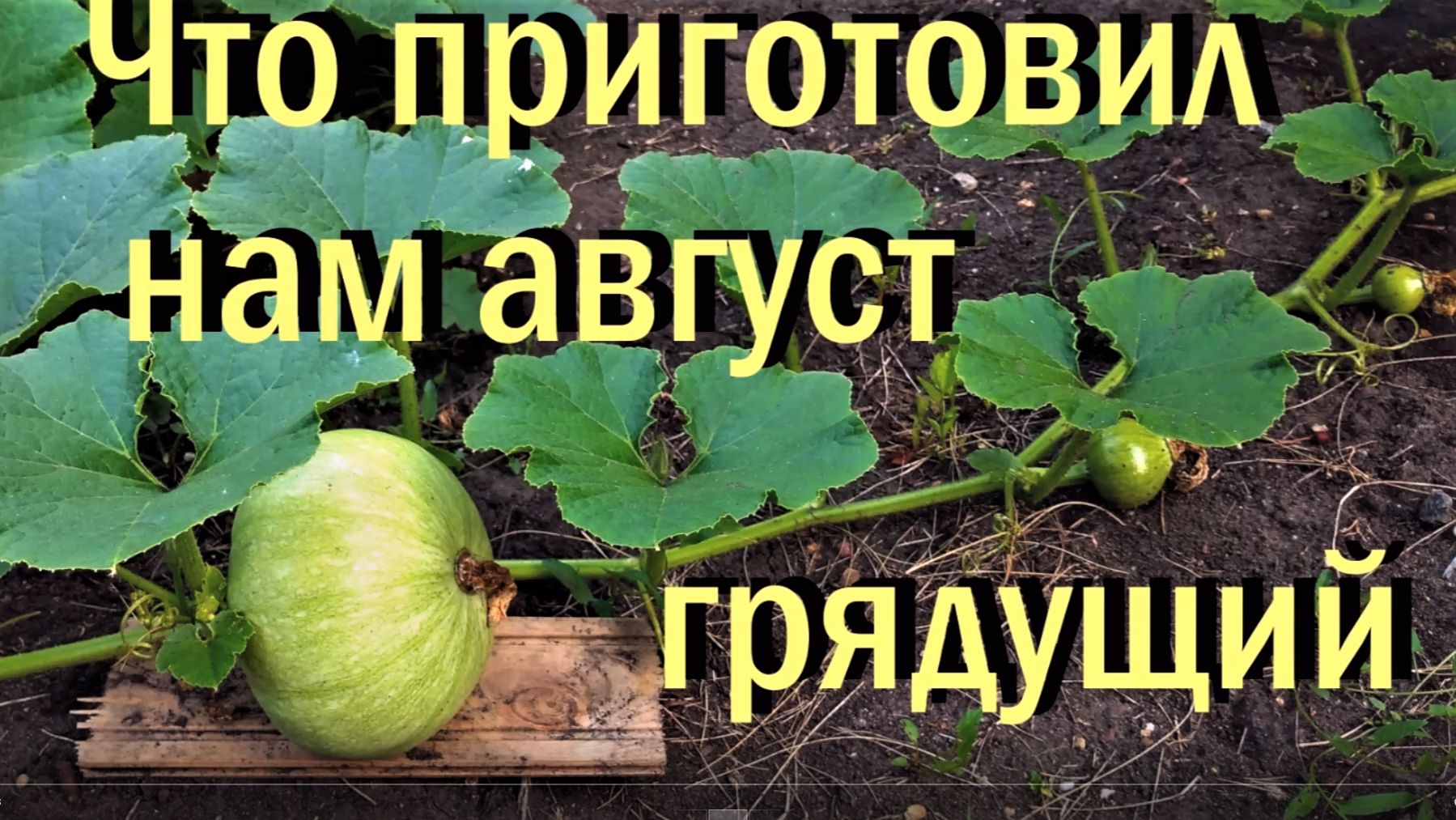 Что приготовил нам август грядущий. 2022 г.