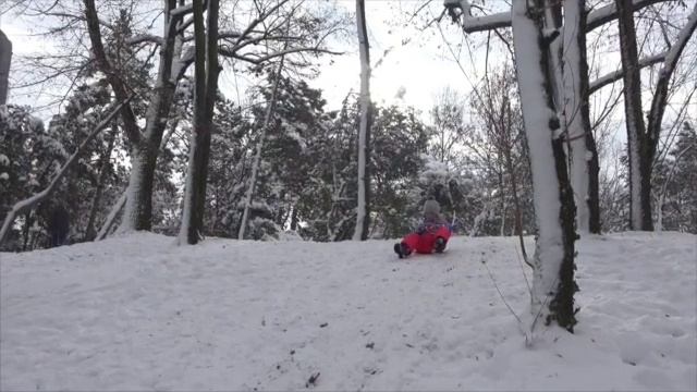 U3.5 Free time activities Canada Culture Beehive 1