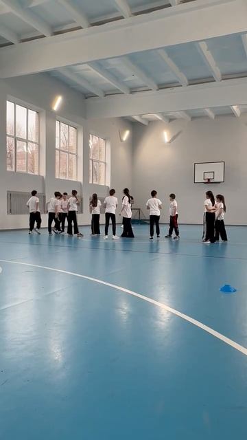 Упражнение на быстроту реакции и скорость перемещения."Воробьи и Вороны".