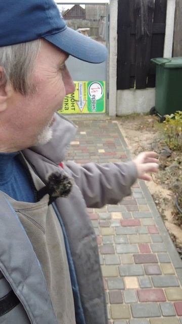 Почему отмостка должна быть из бетона? Разве это правильно?