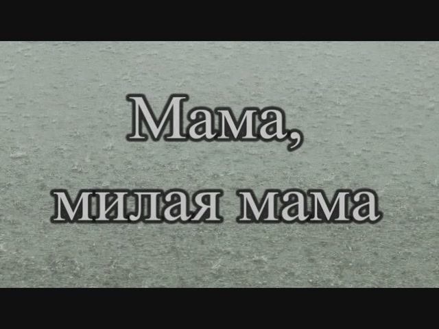 Памяти Стрелецкой Софии Николаевны