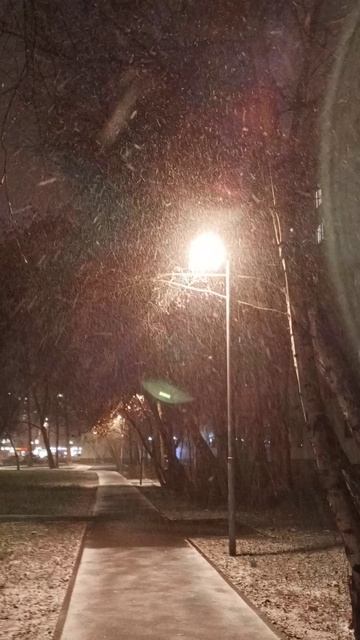 Снег, декабрь.