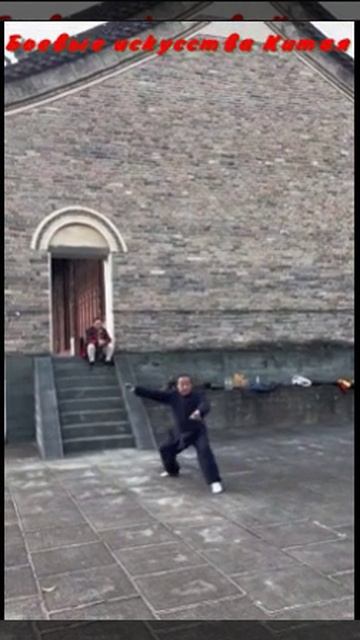 2в1: Руки и меч... Гармония