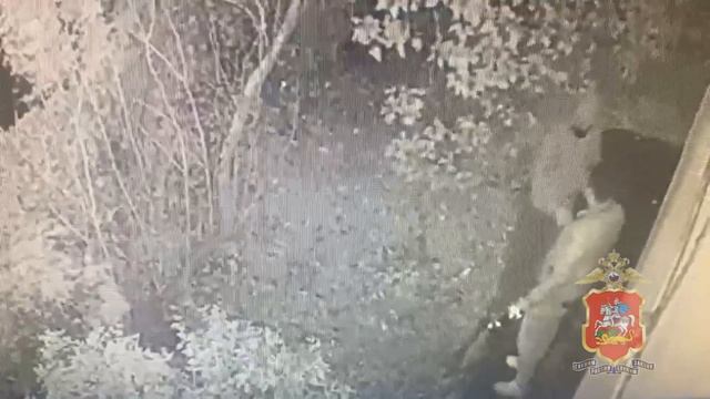 В Одинцове полицейские задержали пособника телефонных мошенников. похитивших коллекцию часов