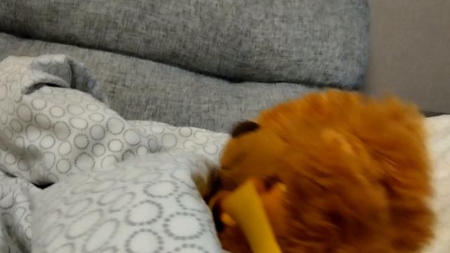 приключения медведя Берга 6 серия болезнь