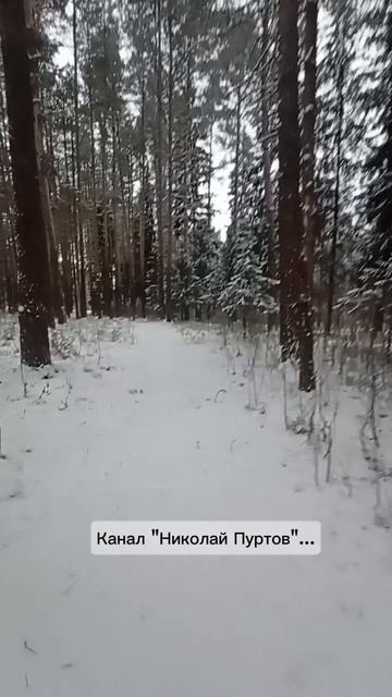 Всё равно где общаться(мессенджер)👍🙂