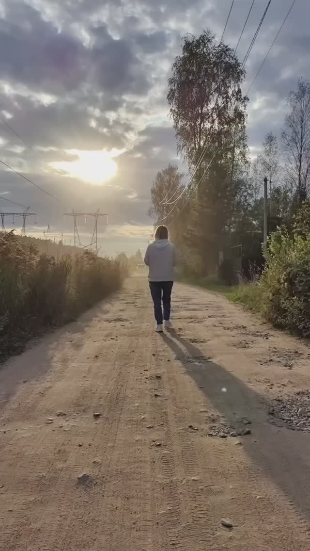 Сергей и Алиса | История двух сердец | Дачные видеозарисовки | Встретили ёжика