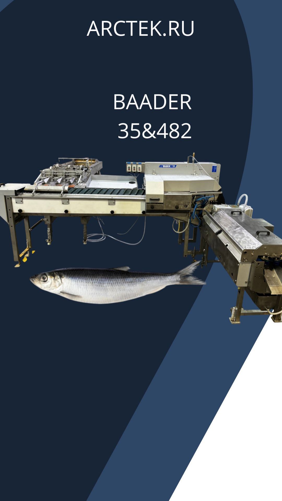 Разделка сельди на Baader 35 и 482