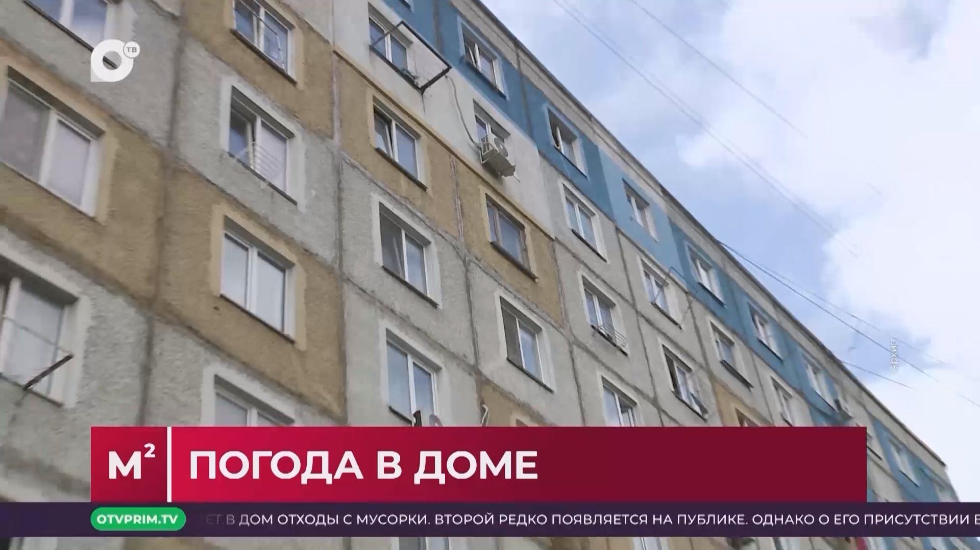 Квадратные метры / Санитарная обрезка / 09.12.25