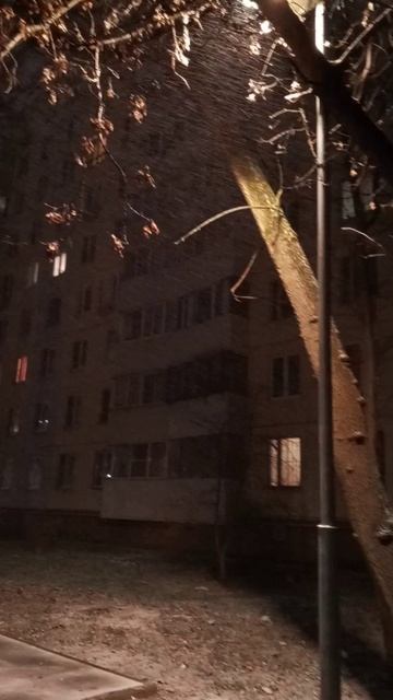 Вы полагаете будет зима?