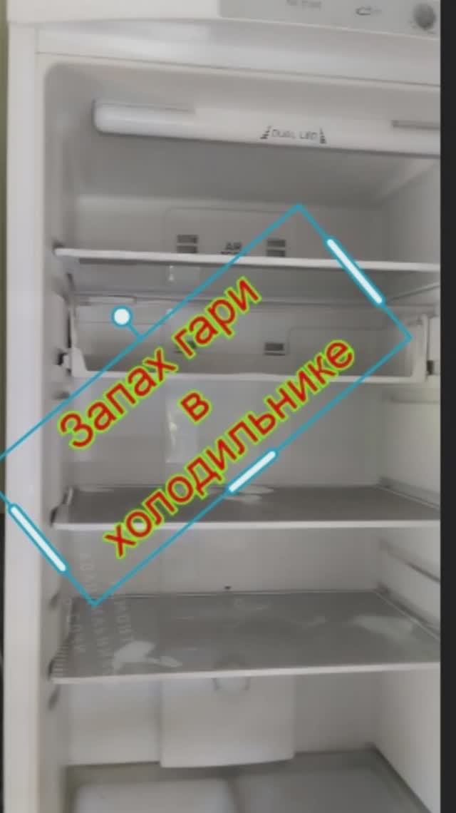 Запах гари в холодильнике! Виновник — сгоревший таймер. РЕМОНТ ВОЗМОЖЕН?