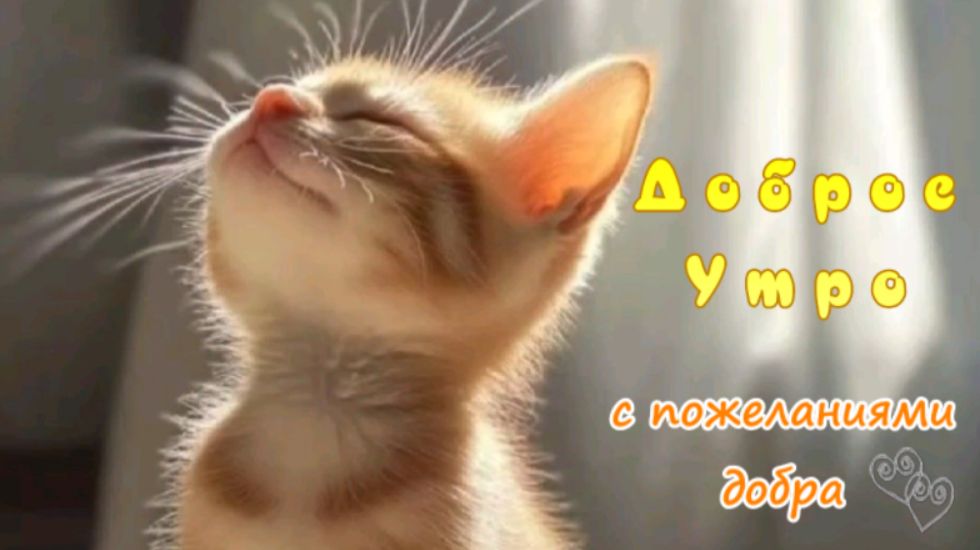 Красивые открытки с добрым утром – пожелания добра на каждый день