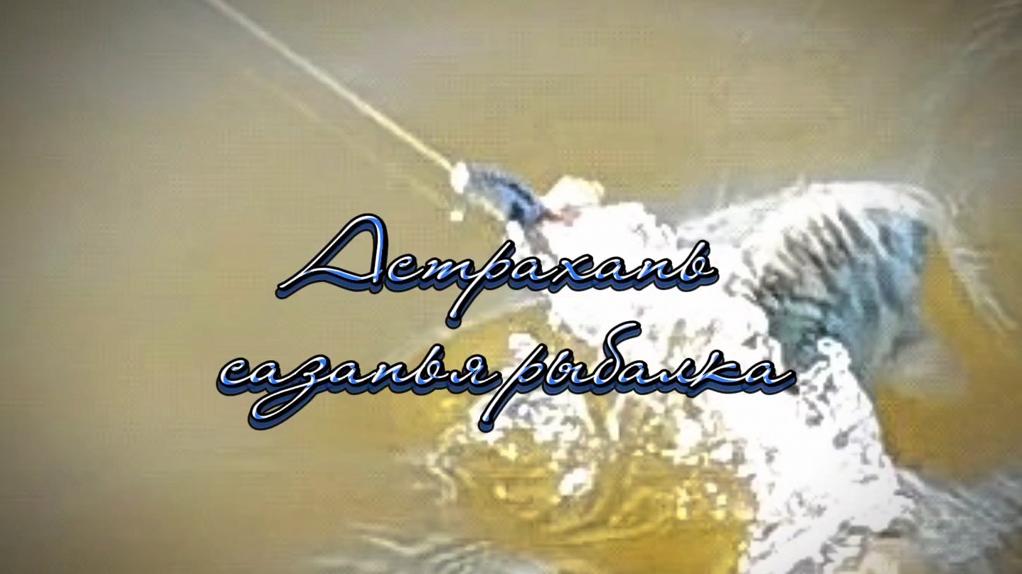 #Астраханская_рыбалка #сазаньярыбалка #зачётныйсазан #рыбалканаВолге