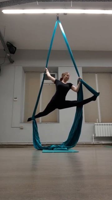 Aerial Silks