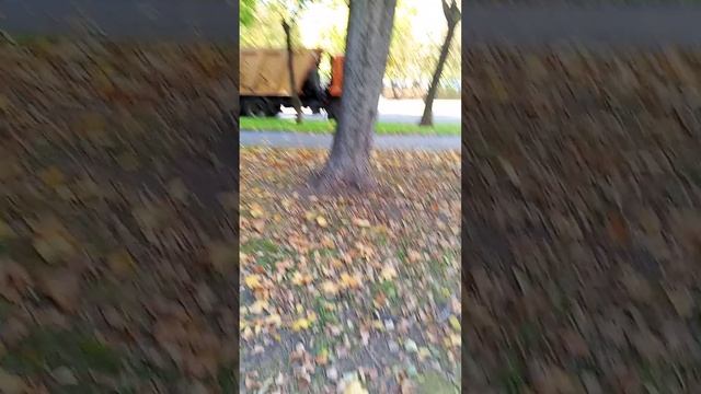 Сентябрь 2025 год