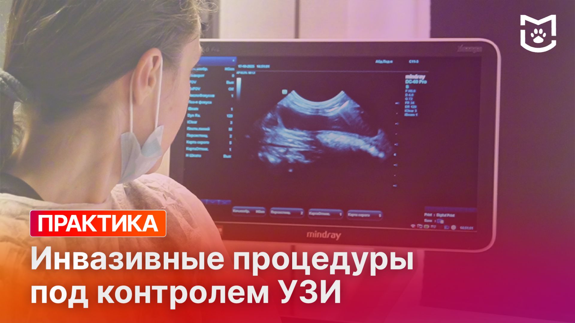 Инвазивные процедуры под контролем УЗИ. Курсы VetCadaver
