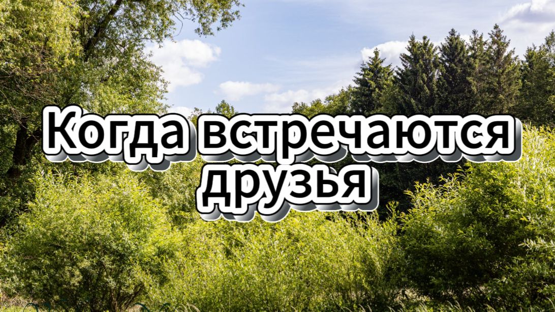 Когда встречаются друзья
