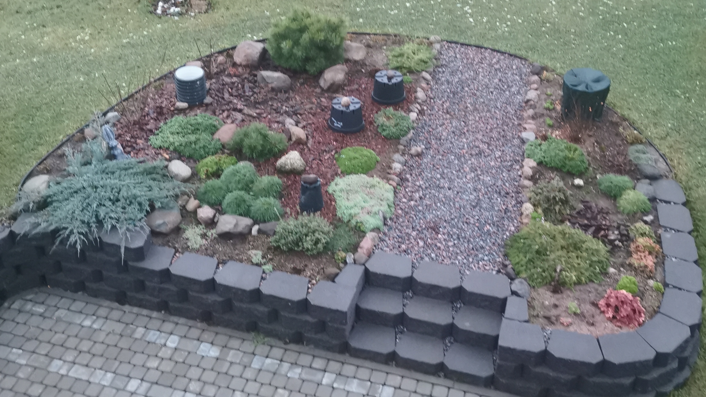 Растим сад на пустоши. Вспомним 2024г. Восток Ленинградской области