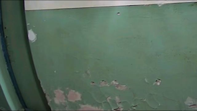 11-12-2025Без цирка без тявканья но следит. С телефоном бегает снова шпионит. Хотя снова ли.