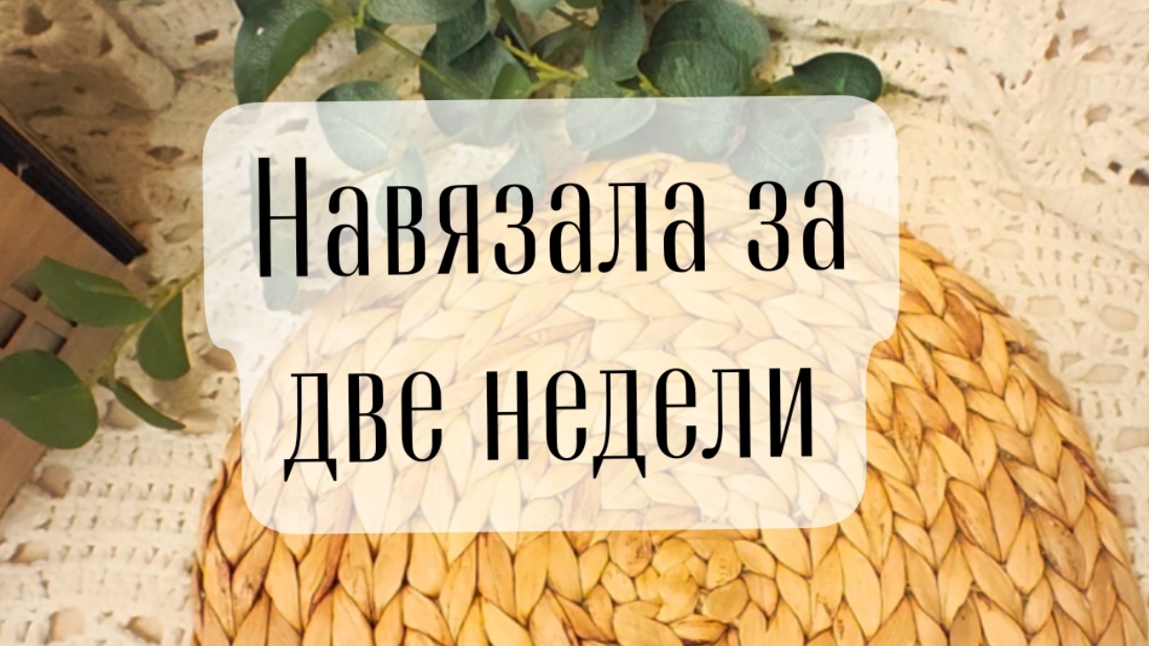 Вязовлог 48/49 навязала за две недели